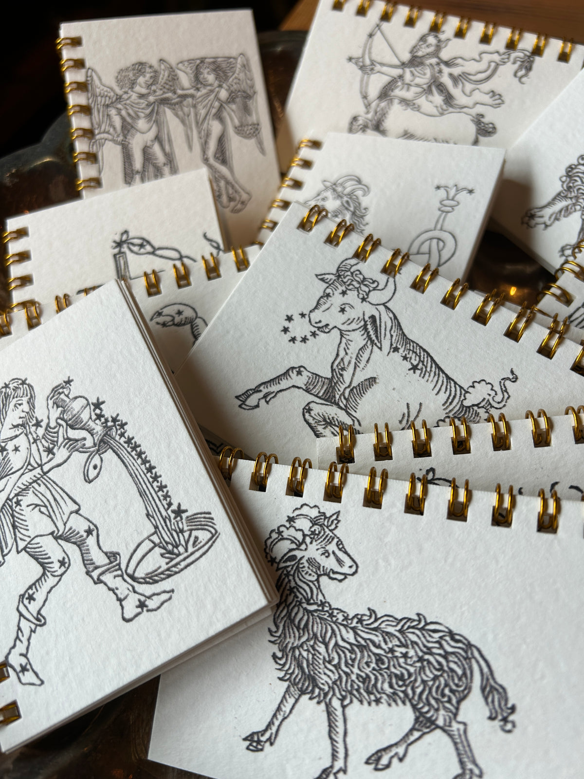 Zodiac Teeny Tiny Pocket Notebook | PARCEL
